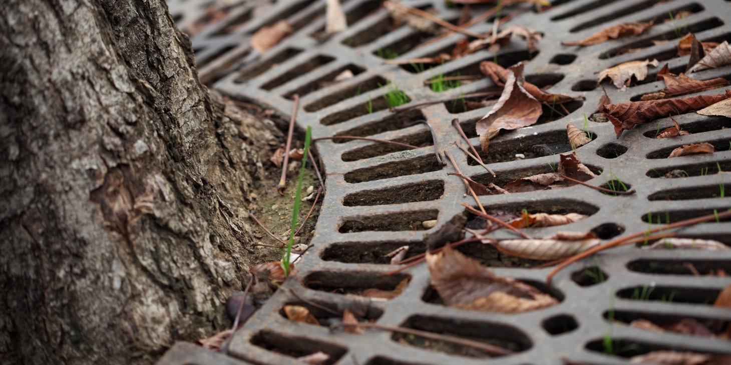 The Little Things Tree Grates Do Make a Big Difference