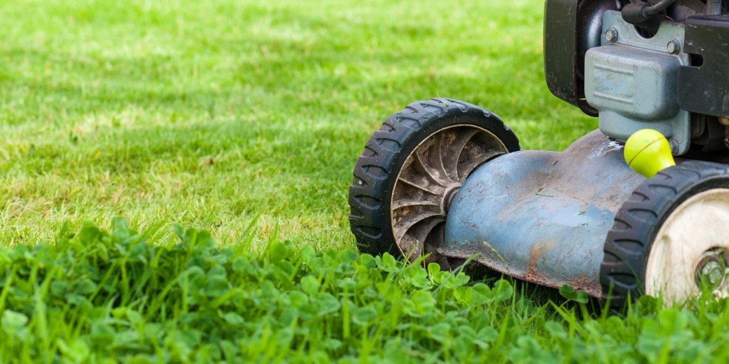 5 Benefits of Lawn Mowing: Why to Use a Lawnmower for Landscaping Your Lawn